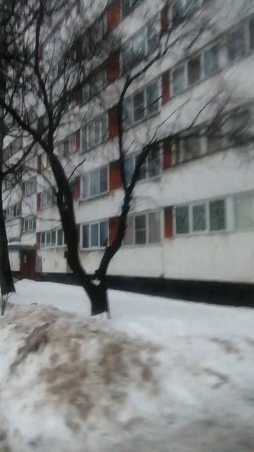 Ленинградская область VID_20260228_075516