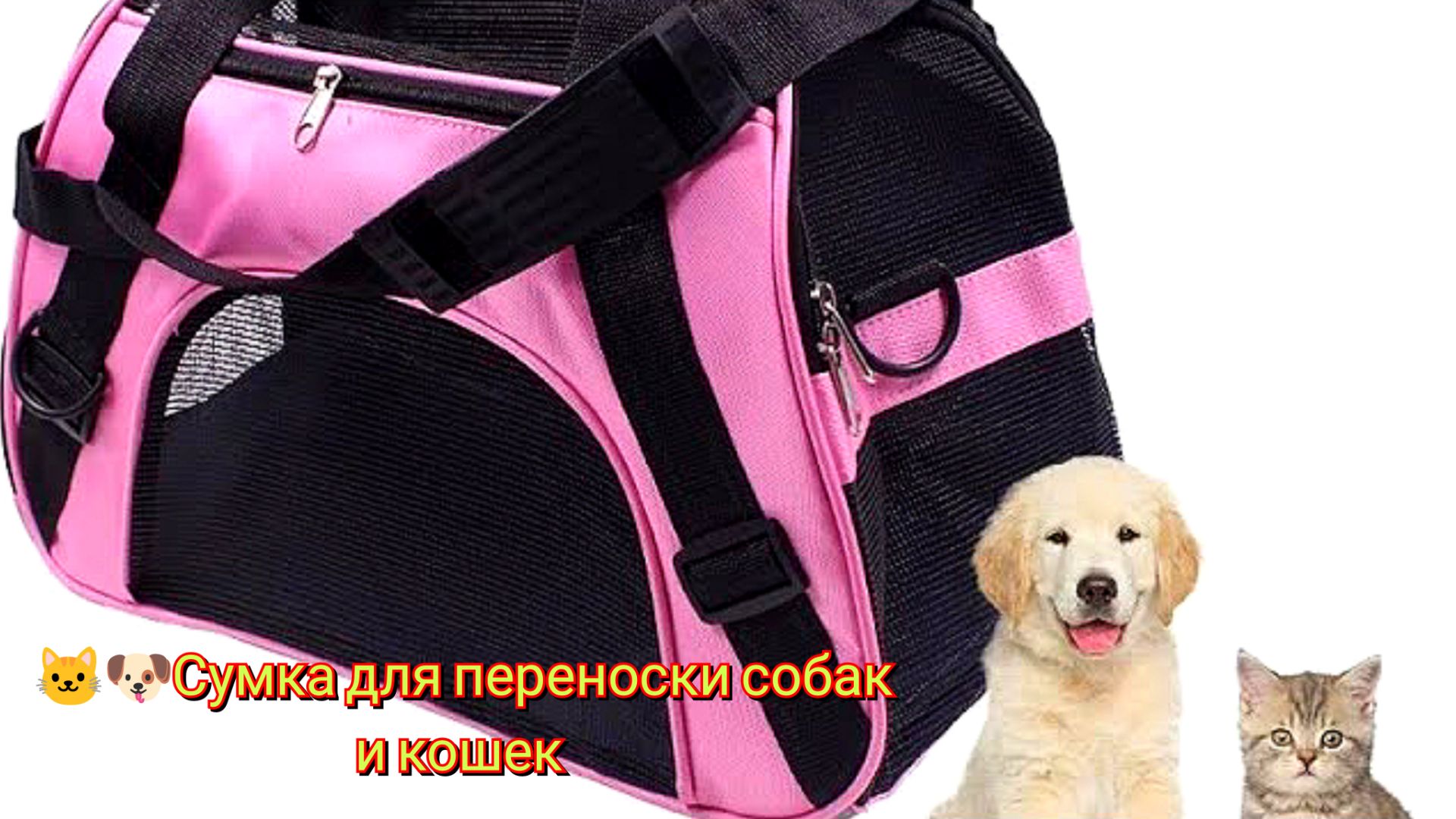 🐱🐶Сумка для переноски собак и кошек YouTube перезалив
