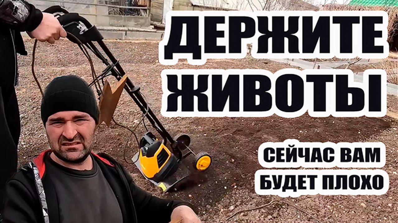 Сейчас вам будет плохо! Почаще присылайте им товары на обзор!