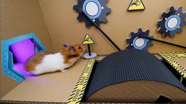 🐹Хомяк сбегает из жуткого тюремного лабиринта🐹 История о таракане [сирийская версия]