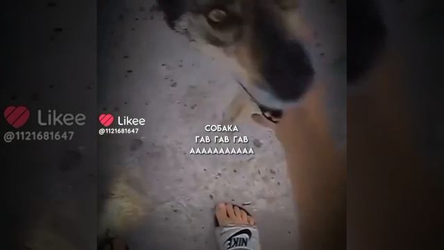 пхапхапхапхапхапхапхапхапхапхапхапхапха