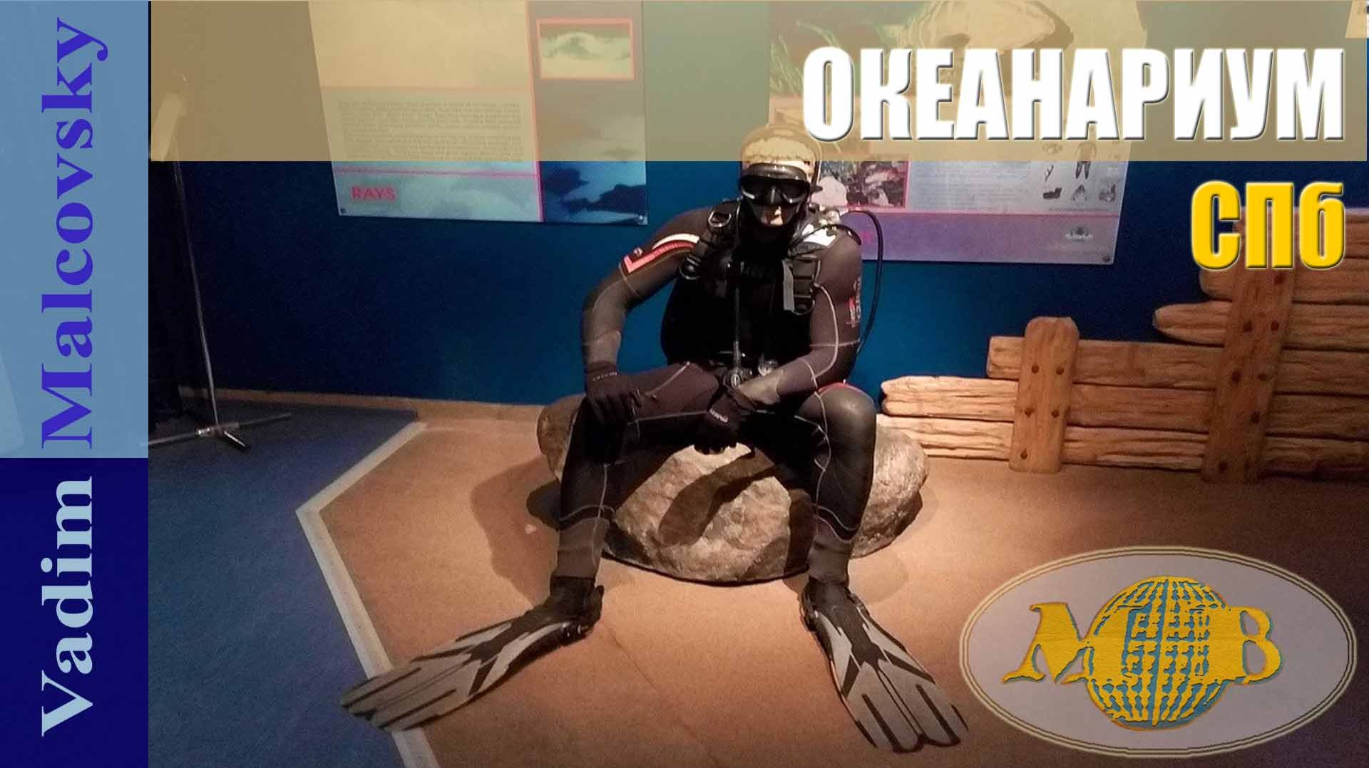 Океанариум Санкт-Петербурга. Релакс под виды подводного мира. Мальковский Вадим