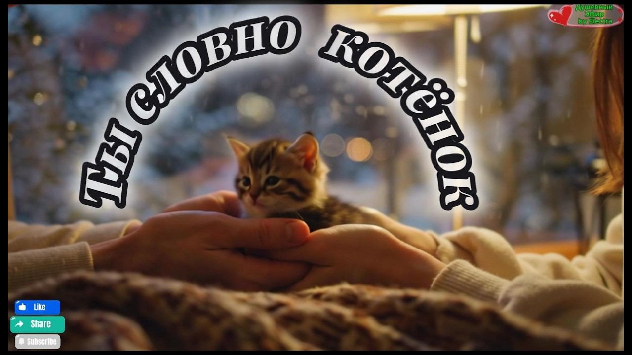 РУССКАЯ МУЗЫКА 2026 ♫ | ⚡ Ты словно котёнок |  New Russian Music