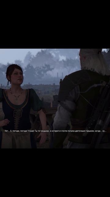 #witcher3 | Квест "Список блудниц"- спасение Веспулы #games #rpg