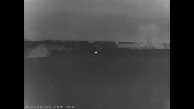 Лисицы 28_02_2026г