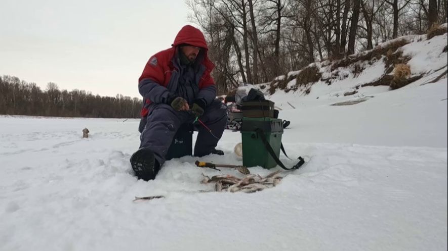 ВЕСТИ С РЕКИ ! Рыбалка на Оби ( Последний день зимы ) 28 февраля 2026г.