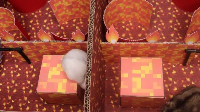 Побег хомяков из лабиринта Minecraft с ловушками. Кто победит?