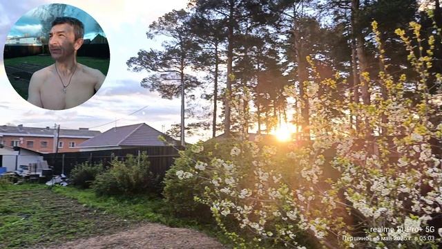 Весна в огороде, 05.05.2025 в 05.:05