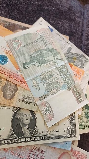 Моя коллекция