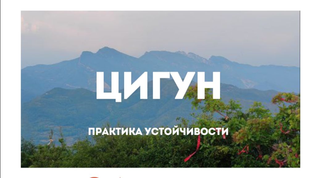 ЦИГУН - практика устойчивости