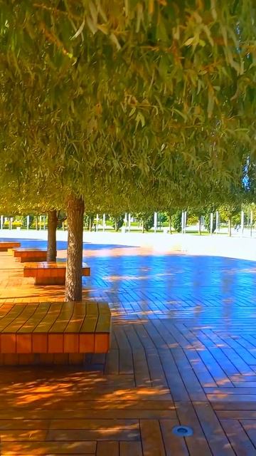 Краснодар 2021 парк Галицкого