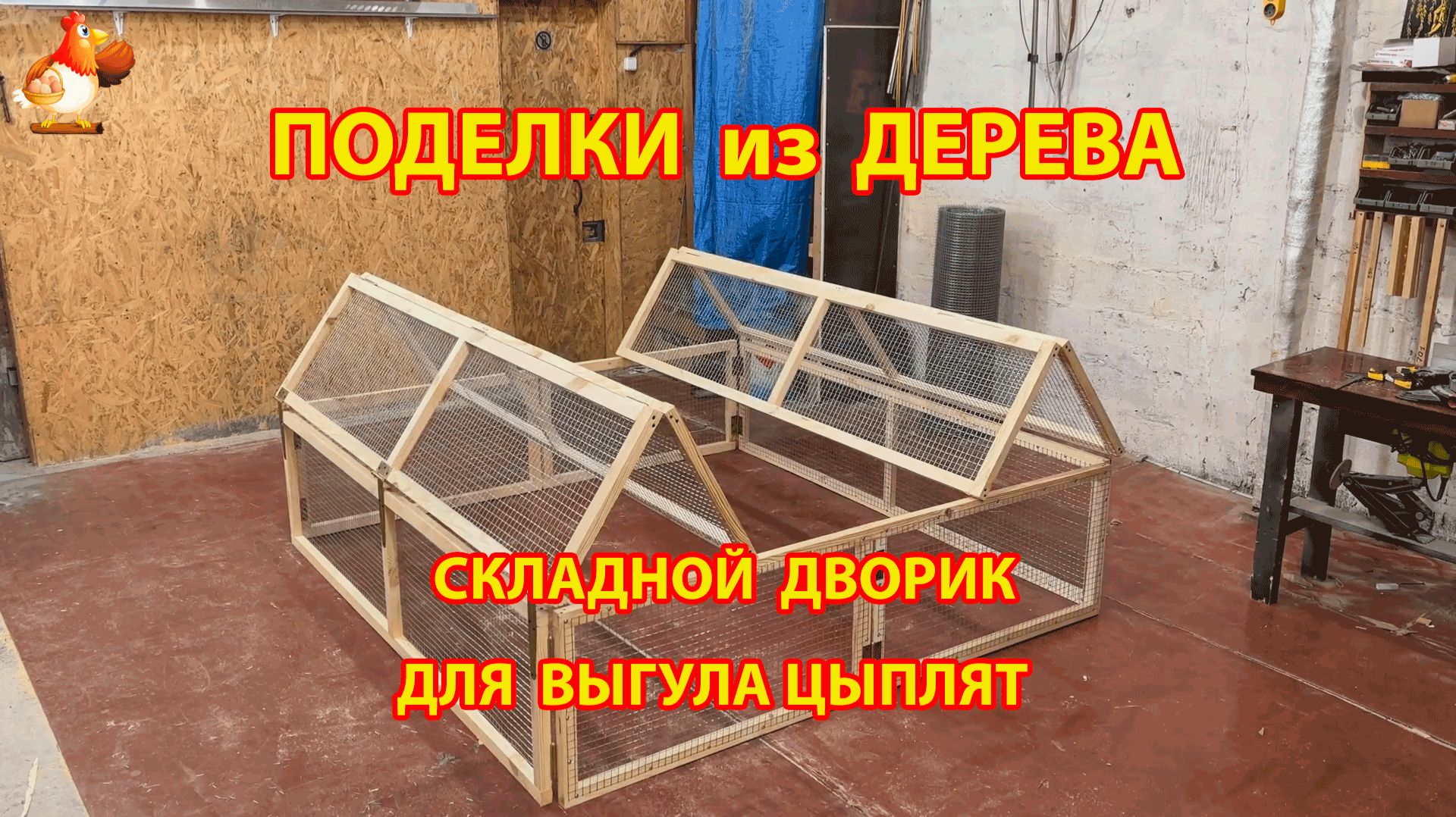 Складной дворик для выгула цыплят своими руками как сделать