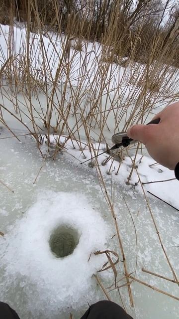 Пользуйся советом! #рыбалка #подпишись #рыба #зимняярыбалка