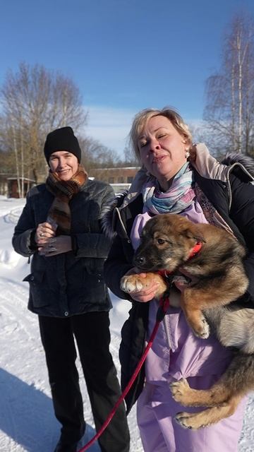 Щенка забрали домой
