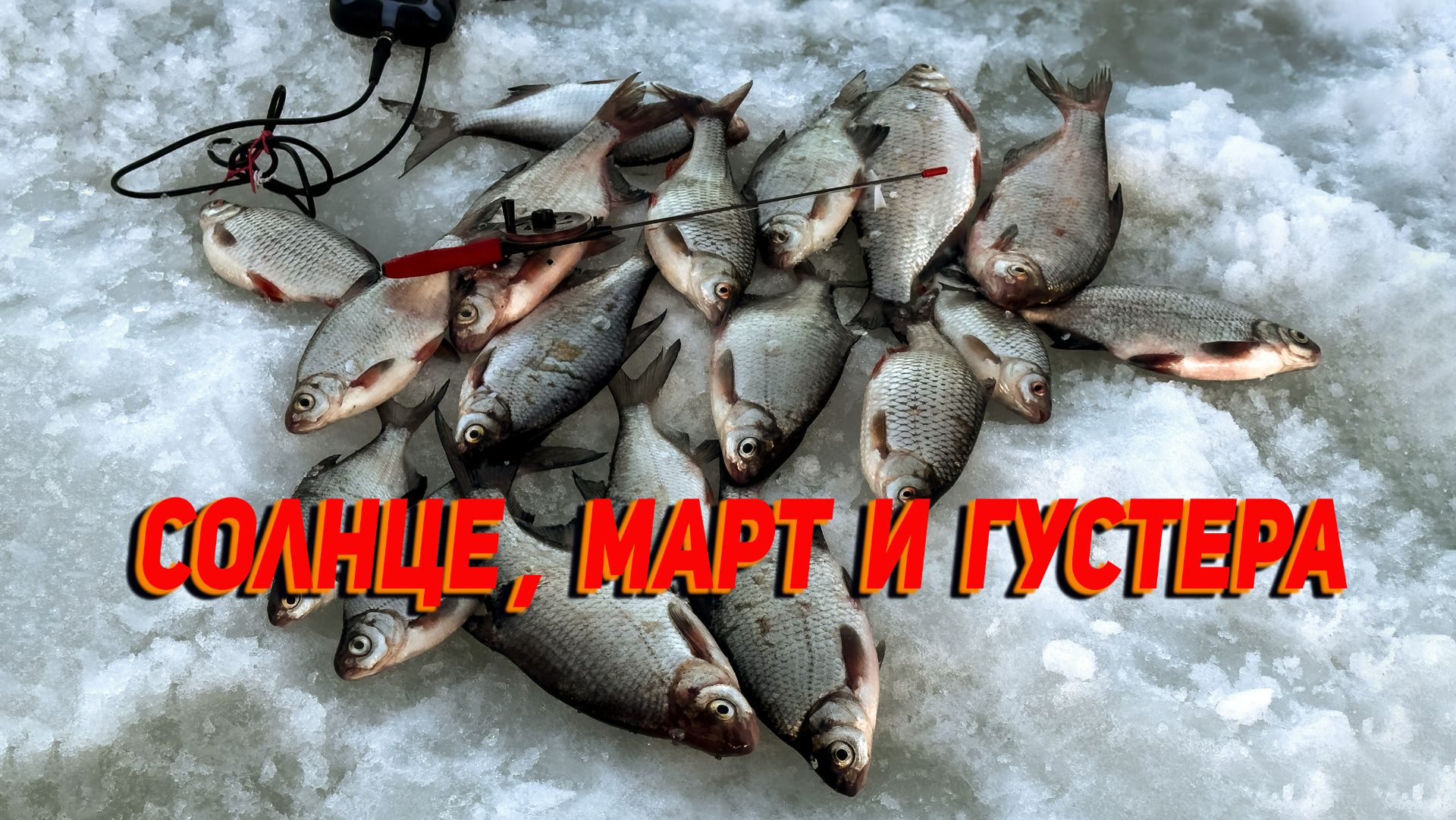 Солнце, март и густера на безмотылку