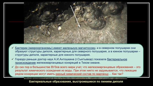 Тайны подводного мира и Срединного Атлантического Хребта