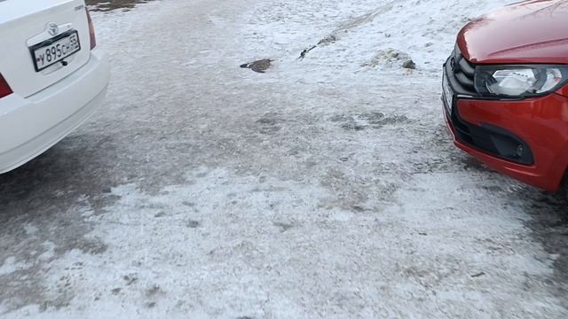 Вырубка деревьев и рассуждения