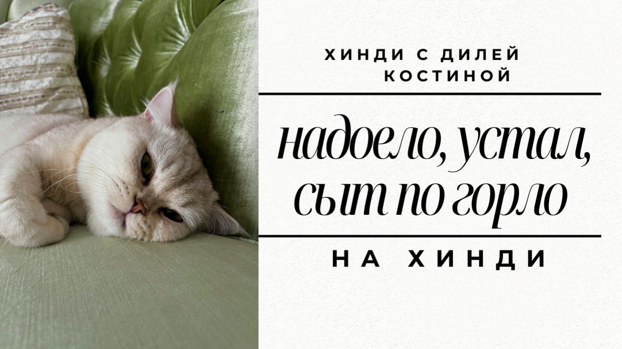 Я СЫТА ПО ГОРЛО. НАДОЕЛО! как сказать на хинди#hindi#хинди#школахинди#хиндиуроки#КостинаДиля#