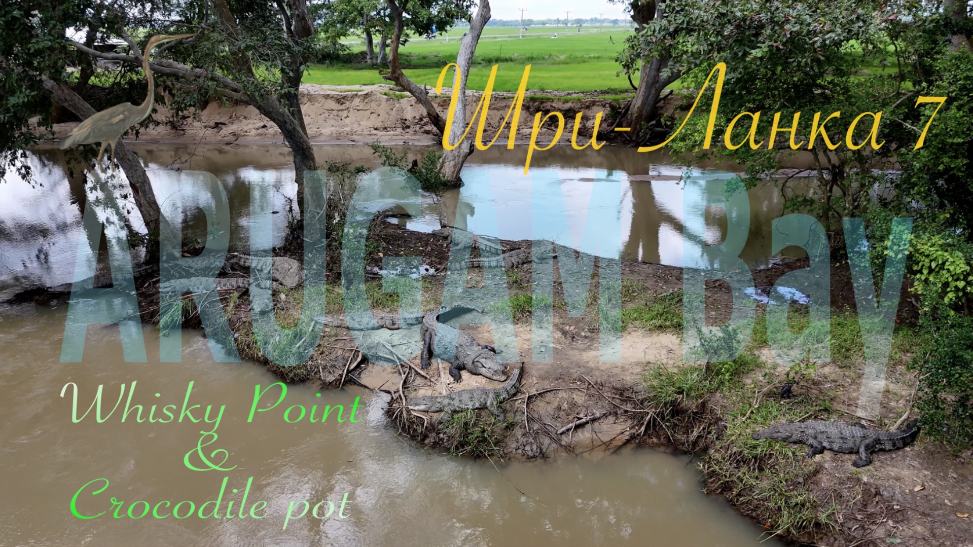 Шри-Ланка 🇱🇰 Sri Lanka. Arugam bay. Whisky Point & Crocodiles 🐊