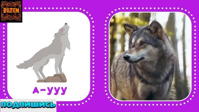 Учимся Говорить с Картинками! Активируем Речь у Ребенка!