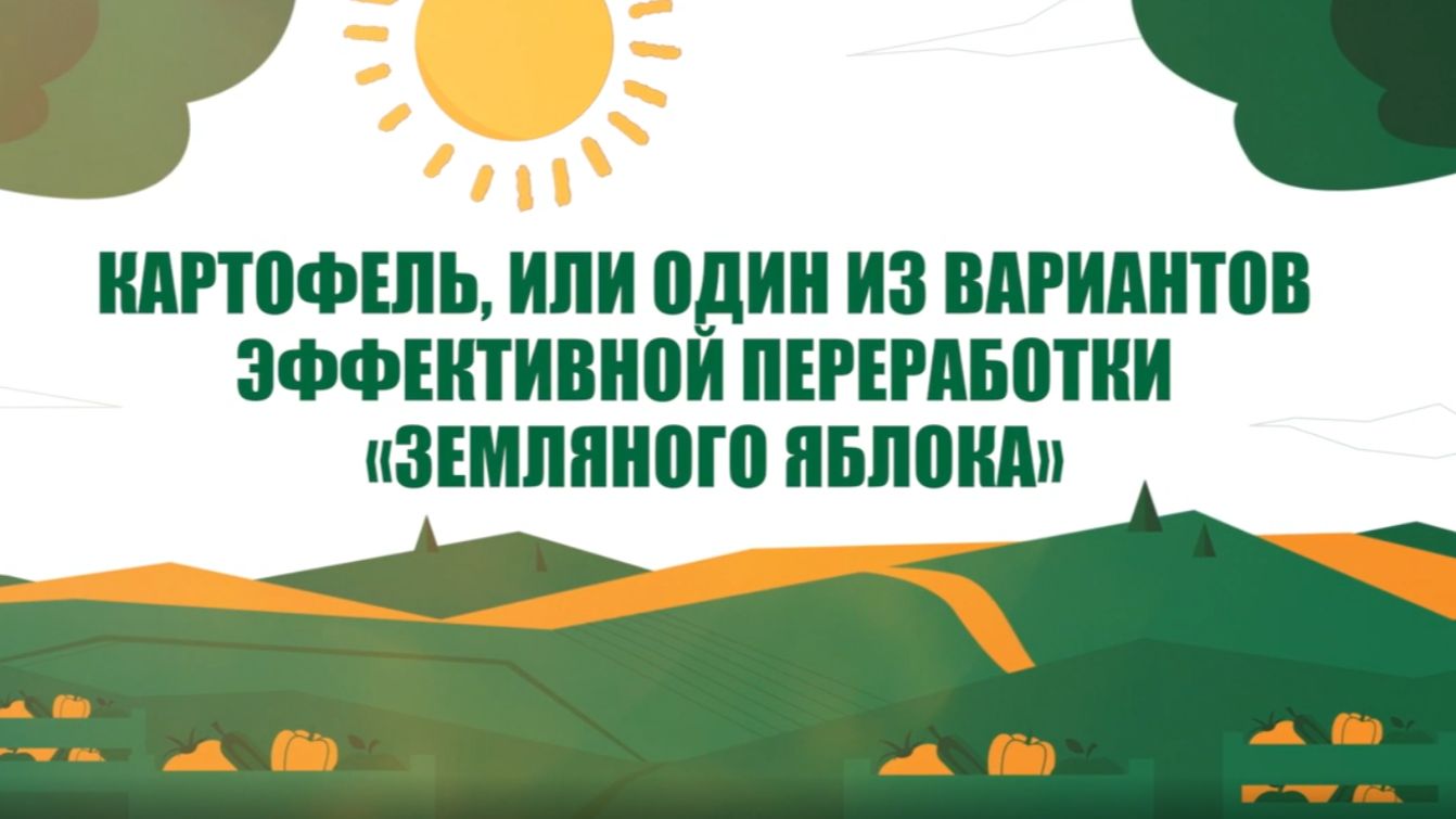 От дьявольского корня к основе рациона: рассказываем все о картофеле