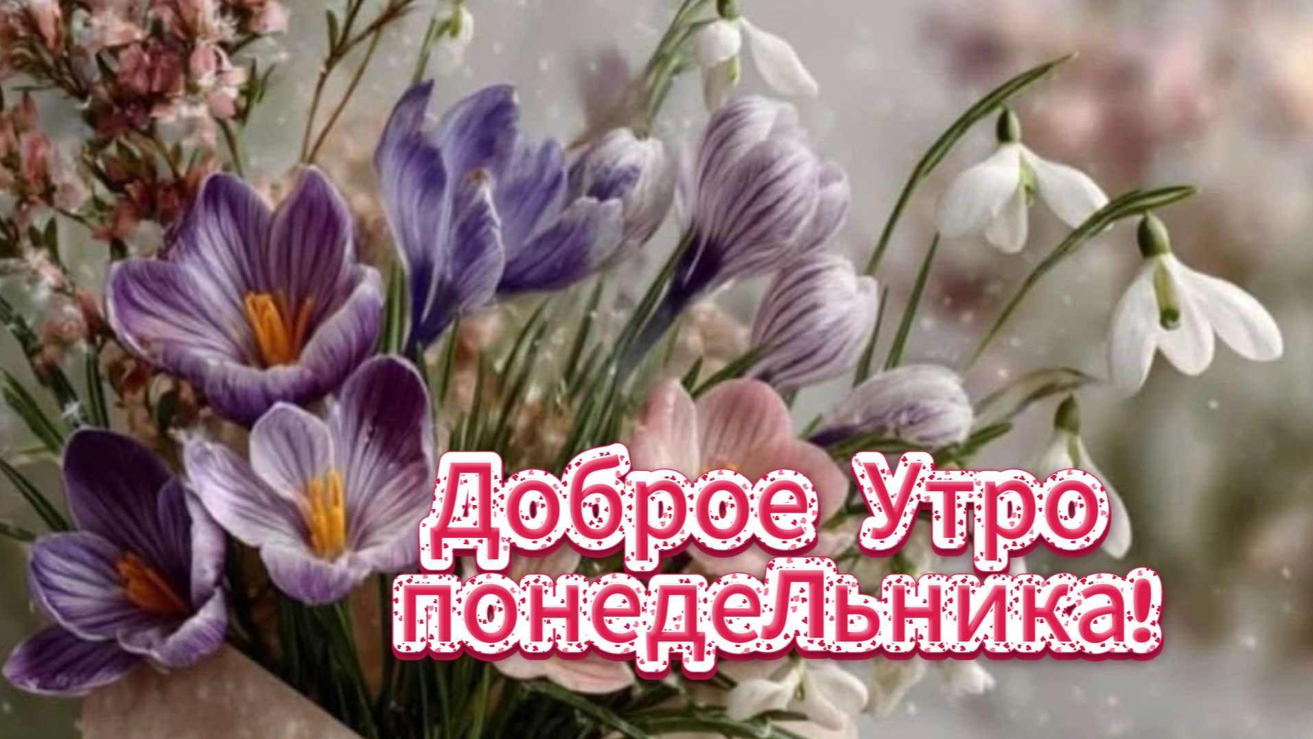 Доброе утро понедельника! 🌞 Старт отличной и продуктивной недели