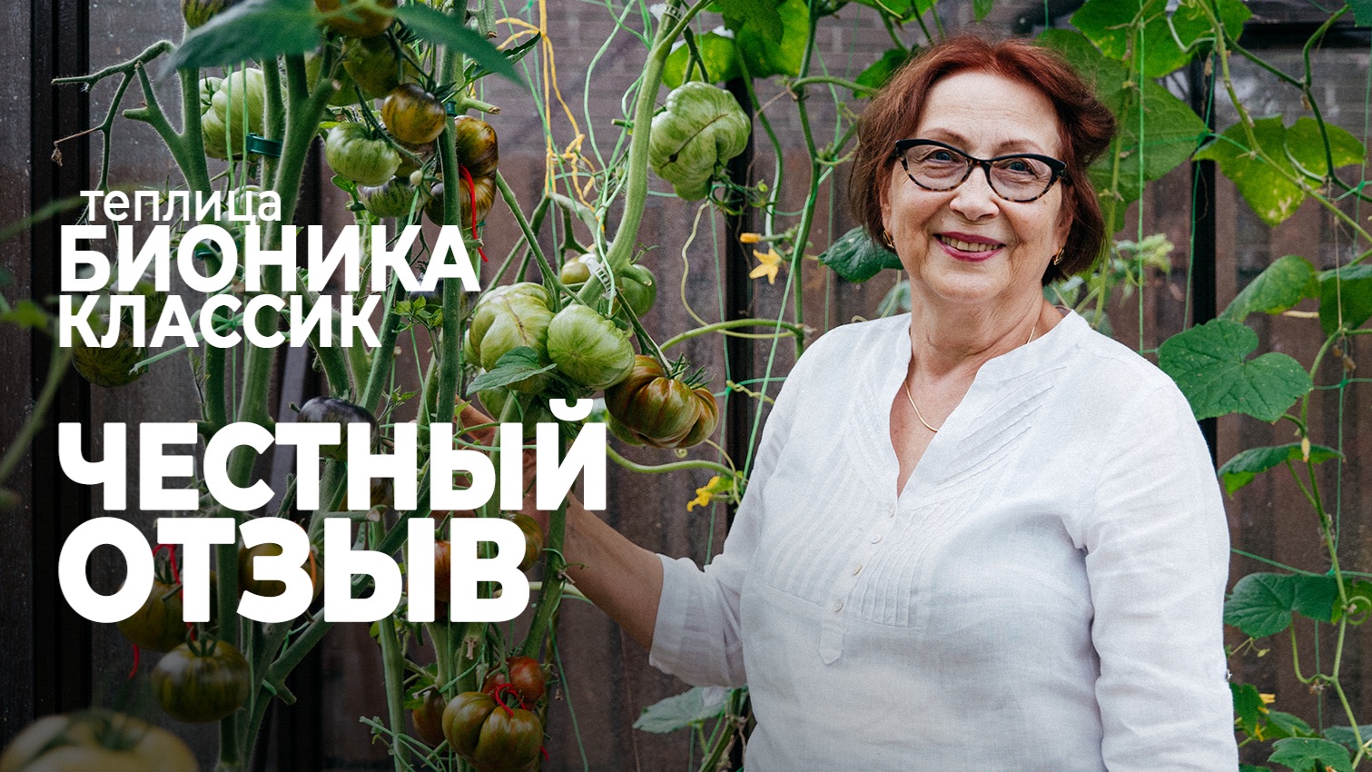 Отзыв о теплице БИОНИКА Классик в заказной комплектации с высокими боковыми стенками!