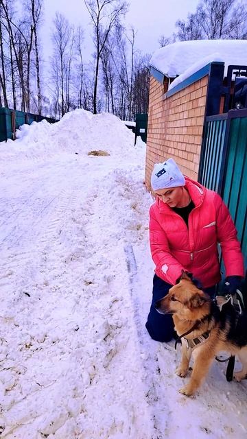 "Дивный новый мир Буси" ❥ Приют в Малинках #приютдляживотных