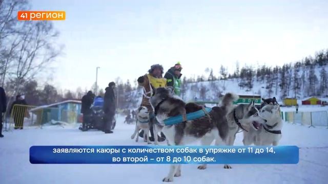 «БЕРИНГИЯ – 2026» СТАРТОВАЛА В СЕЛЕ ЭССО НА КАМЧАТКЕ•НОВОСТИ КАМЧАТКИ