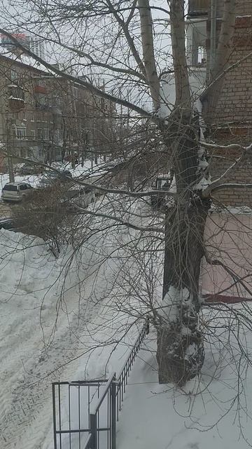 №1597 ул. Газеты Звезда. 2 марта 2026 г., 16:14:36 VID_20260302_161309422