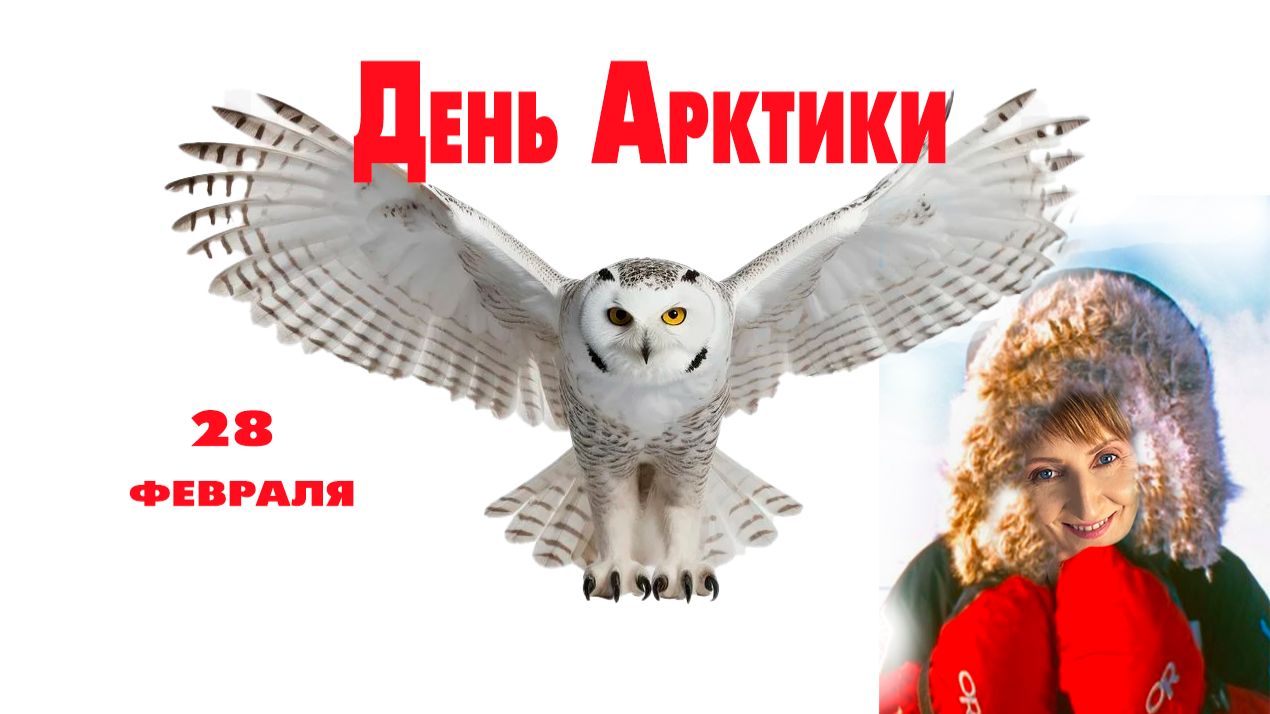 28 февраля День Арктики