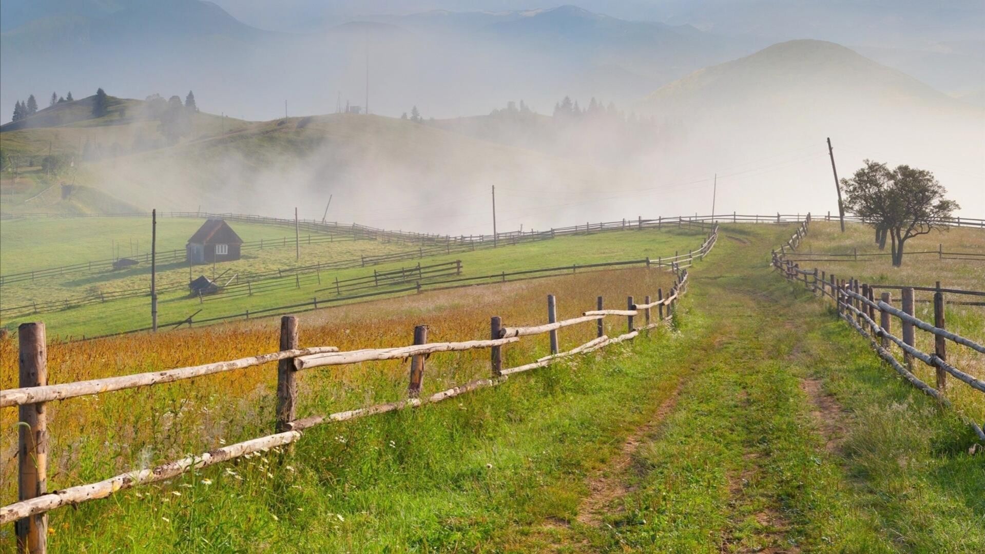 Cinematic Audio — You Are Not Alone -Alive  mix