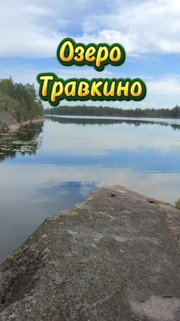 Карельский перешеек 2025. Озеро Травкино. Июль 2025г (Часть 7)