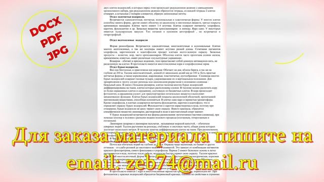 Конспект Водоросли