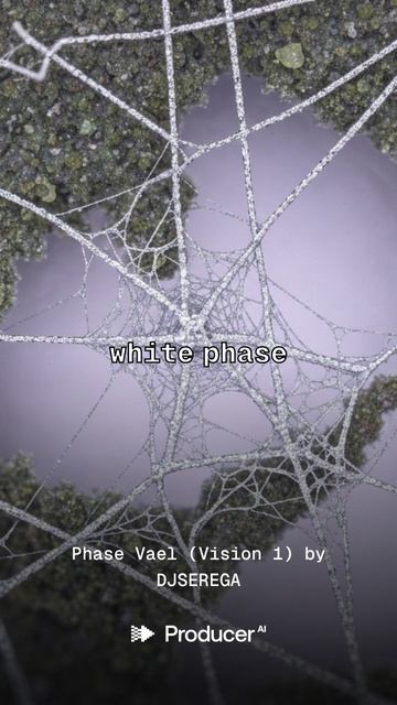 Phase Vael (Vision 1)