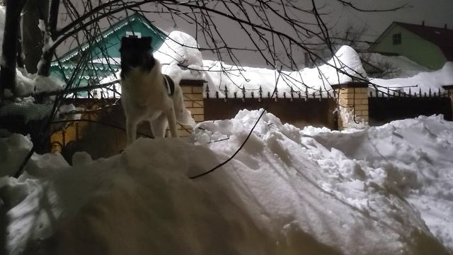 Конец зимы. The last day of winter