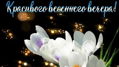 С добрым весенним вечером. Шикарная музыкальная открытка.