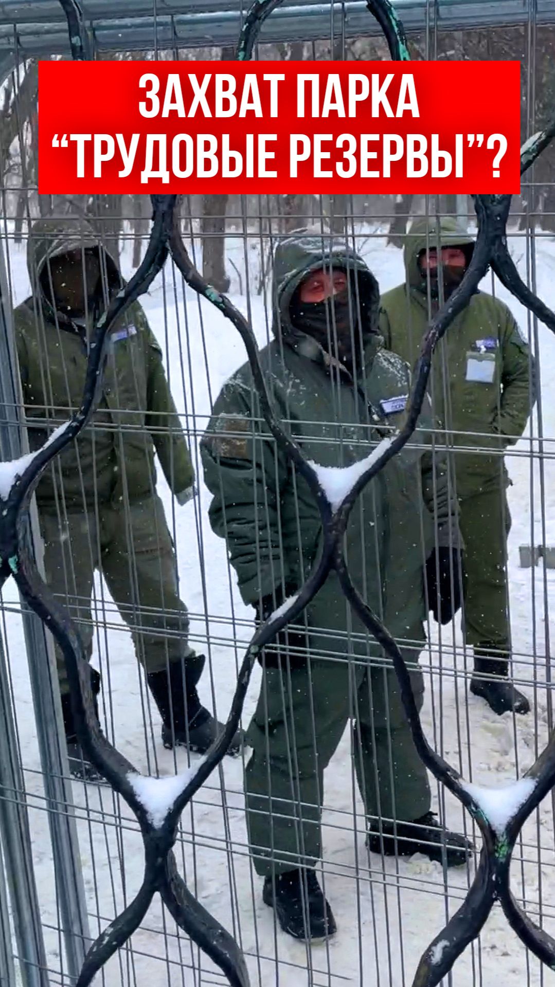 Захват парка «Трудовые резервы»?