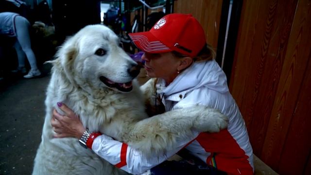 Мое конное дело - Юлия Принцева