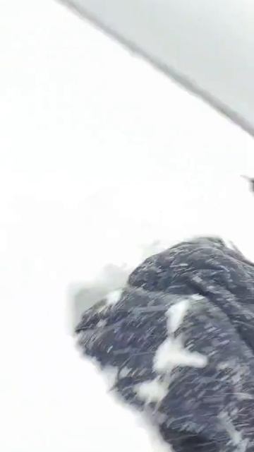 аниме тянка негр