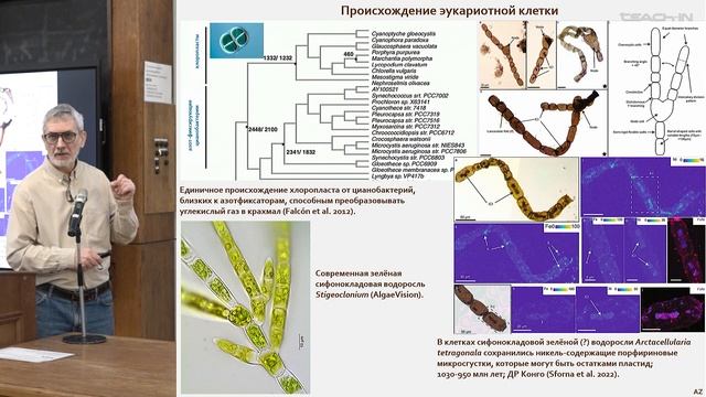 Журавлев А.Ю. - Основы палеонтологии - 2. Возникновение эукариот и ранняя эволюция