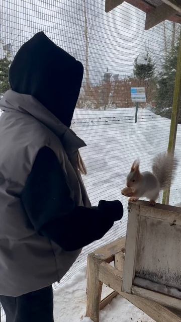 Вика кормит Алтайскую белку в Волшебной стране