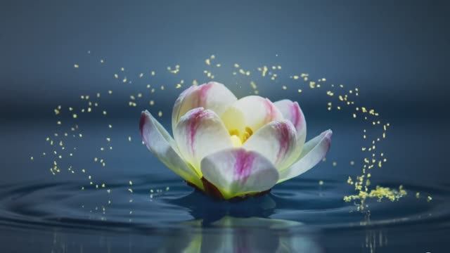 Медленная, нежная музыки для отдыха и сна