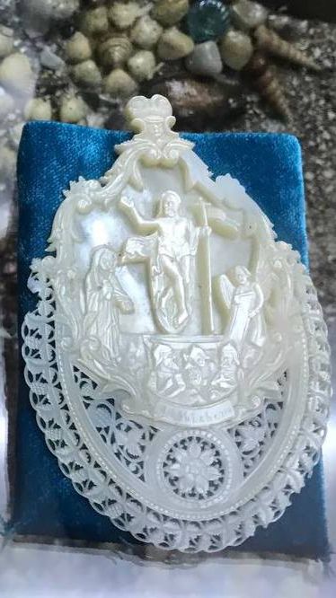 В царств мягкотелых (видеосюжет 7)