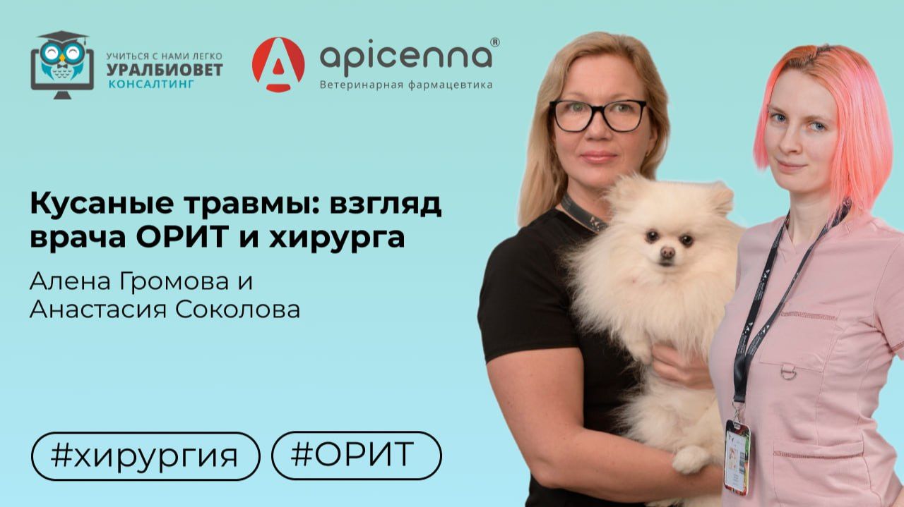 Кусаные травмы: взгляд врача ОРИТ и хирурга. Лекторы Громова Алена и Соколова Анастасия