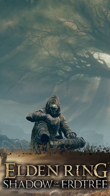 Elden Ring — Space Police