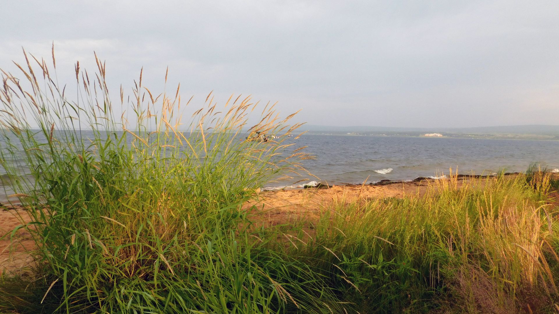 Озеро Арахлей. (Забайкальский край)