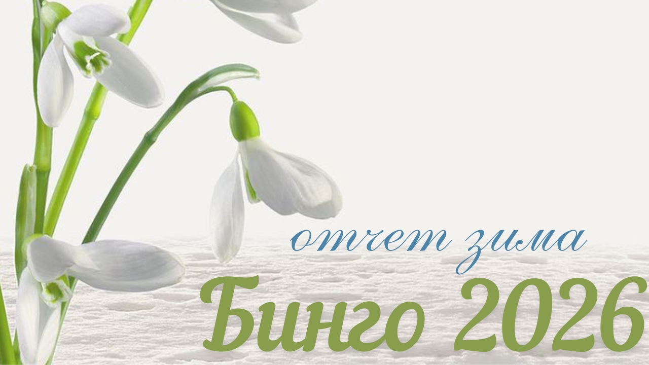 бинго26отчет#1