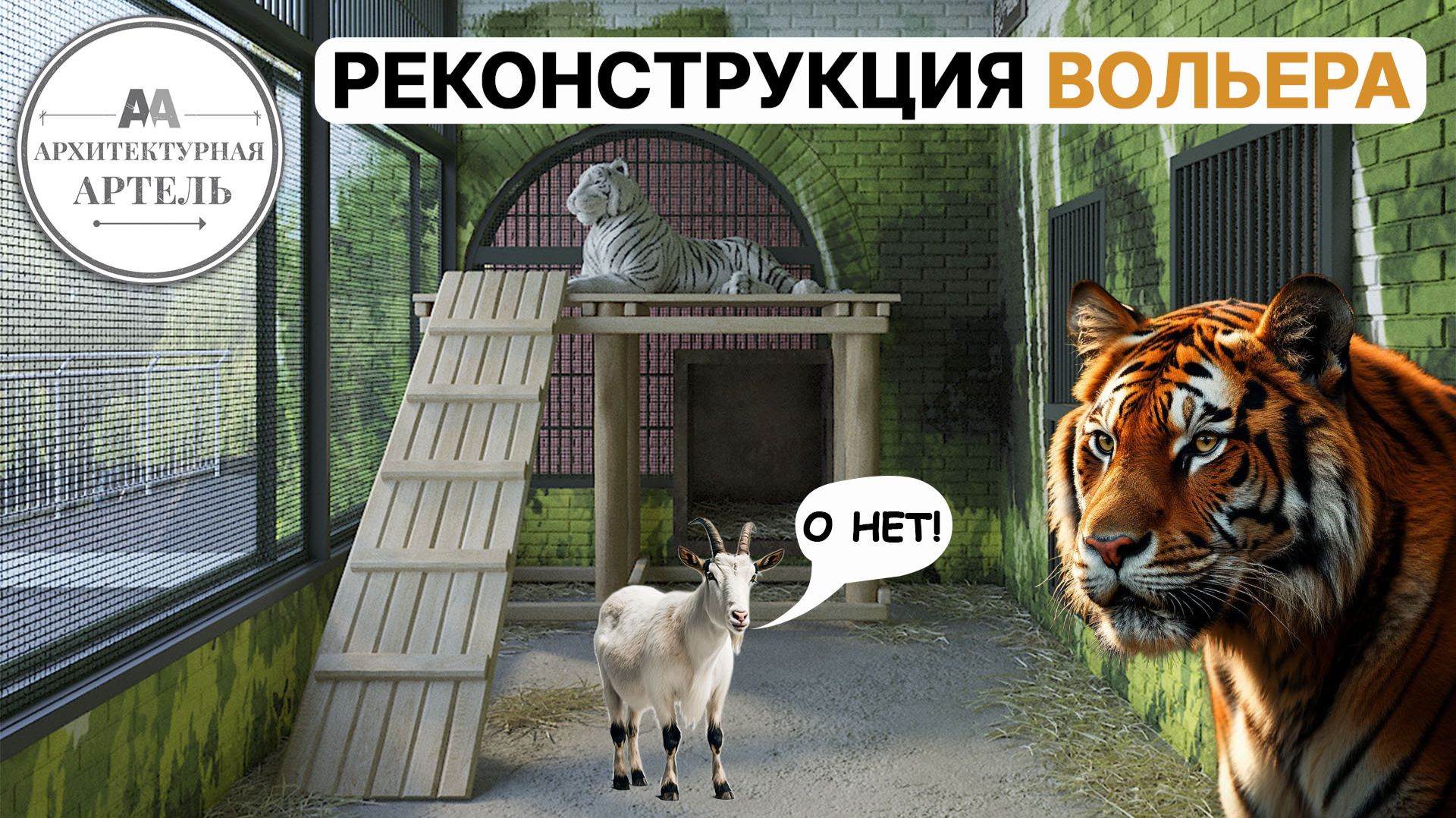 Методы и этапы реализации проекта оформления вольера для крупных кошачьих #dvaa #реконструкция