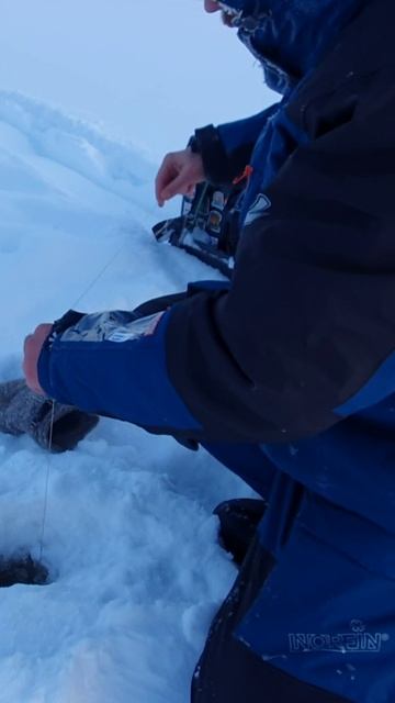 Щука на самоловку в феврале 2026! Рыбалка на жерлицы. Видео уже на канале!